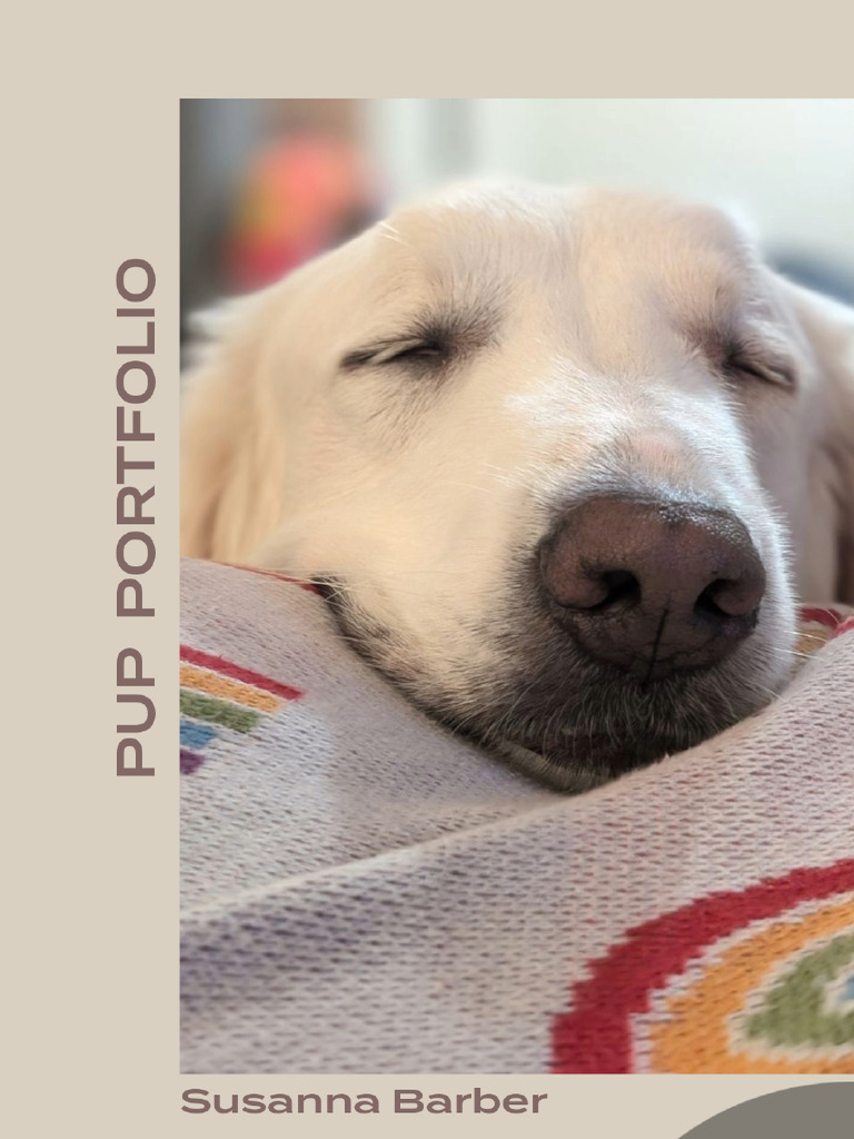 Pup Portfolio | PDF