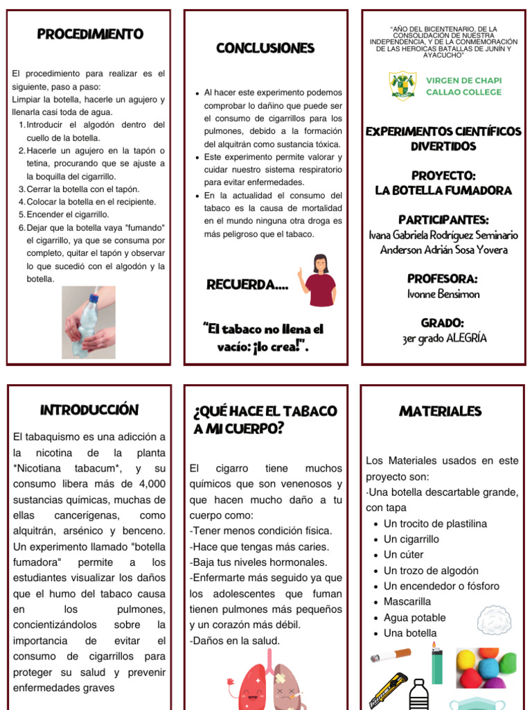 Folleto Tríptico Botella Fumadora | PDF | Cigarrillo | Tabaco