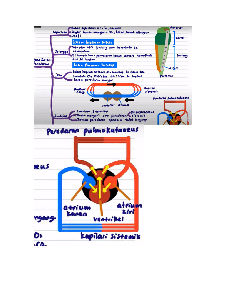Sistem Pengangkutan Pdf