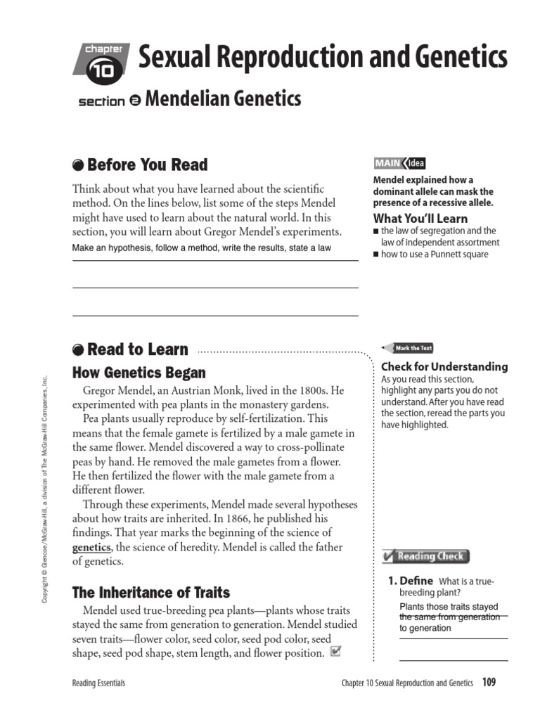 ch10 s2 RE Mendelian Genetics | PDF | Dominance (Genetics) | Genotype