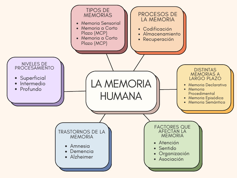 Mapa Mental - La Memoria Humana | PDF