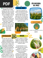 Triptico Maiz Pdf Maíz Fruta
