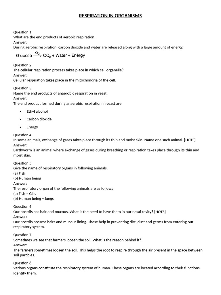 Waste Gases in Respiration Explained | PDF | Breathing | Respiratory System