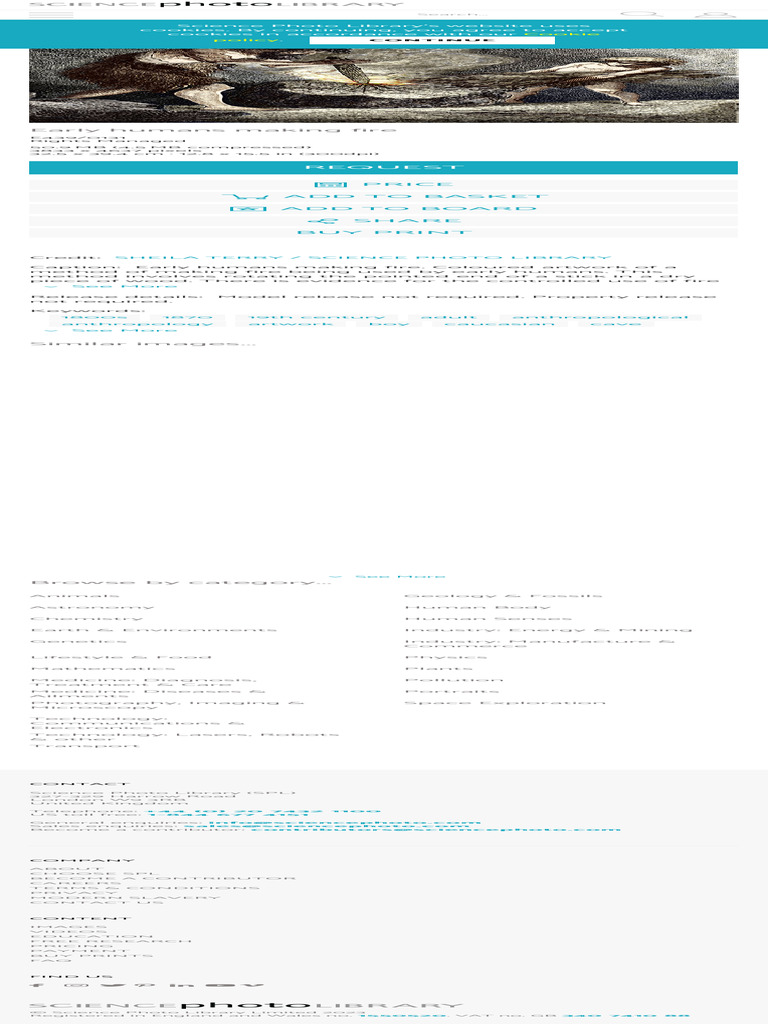 Early Humans Making Fire - Stock Image - E4390131 - Science Photo ...