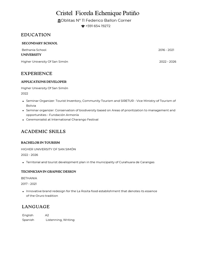 Modelo Curriculum | PDF