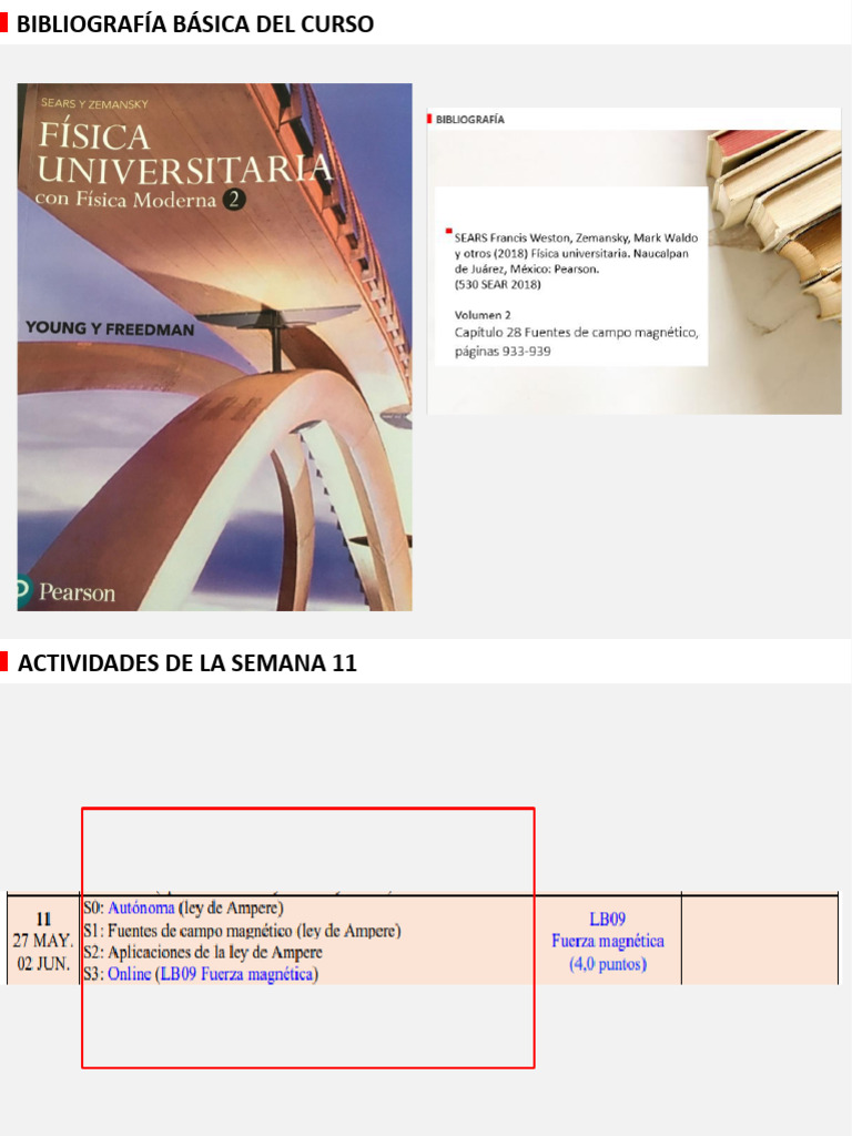 MA462 S11 S2 Revisada | PDF | Campo magnético | Metrología