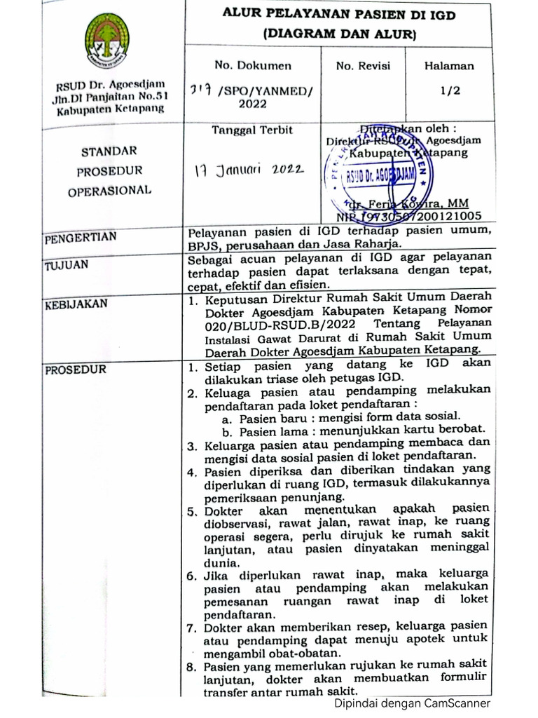 Alur Pelayanan Pasien Igd | PDF