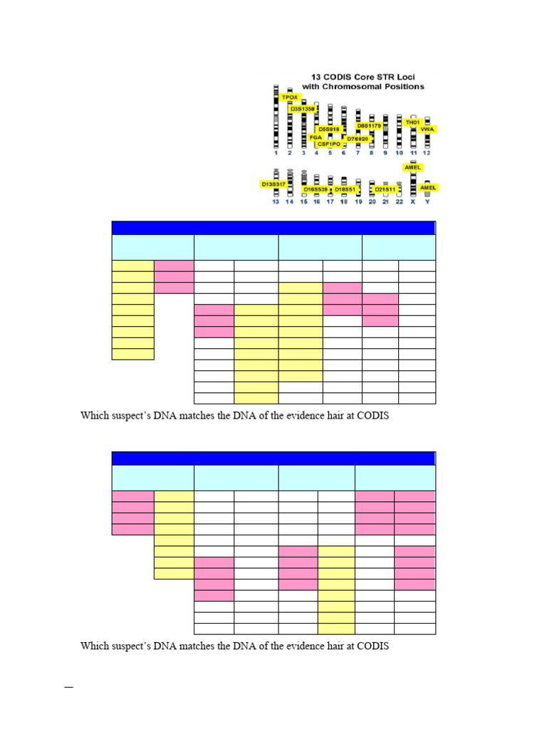 CODIS Suspect Analysis Worksheet | PDF | Dna Profiling | Criminology