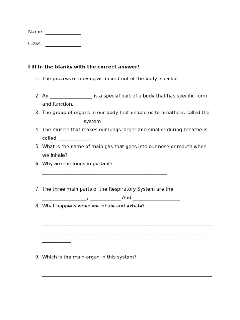 Respiratory System Quiz Worksheet | PDF | Breathing | Respiratory System