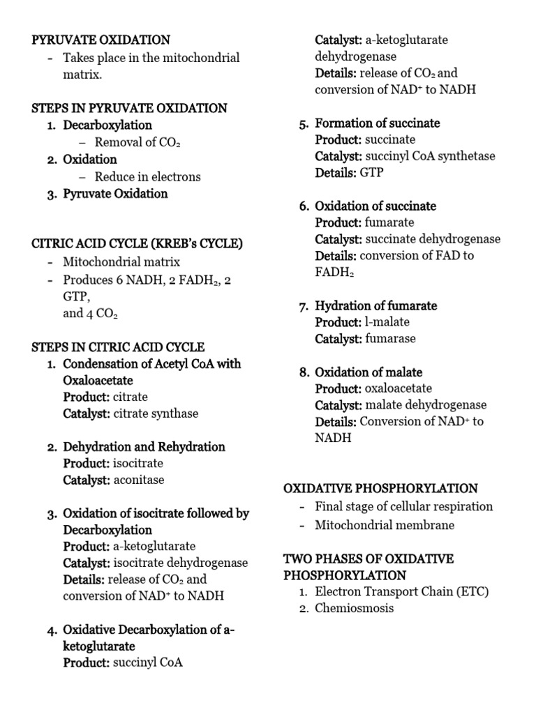 Pyruvate Oxidation Pdf