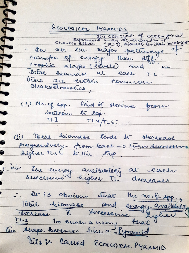 Ecological Pyramids | PDF | Science & Mathematics