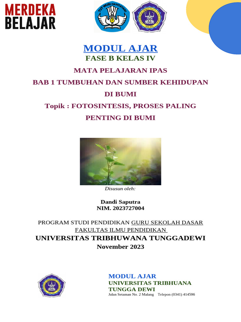 Modul Ajar Fotosintesis Dandi Saputra | PDF