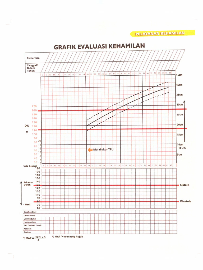 Grafik Evaluasi Kehamilan | PDF