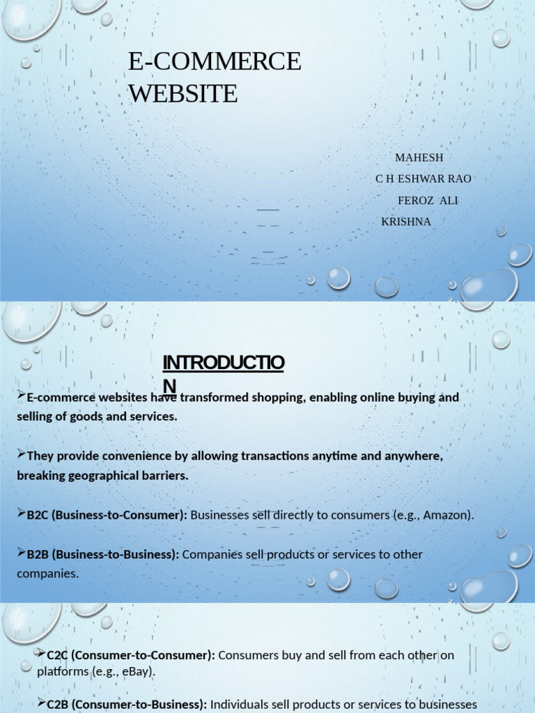 Mini | PDF | E Commerce | Business