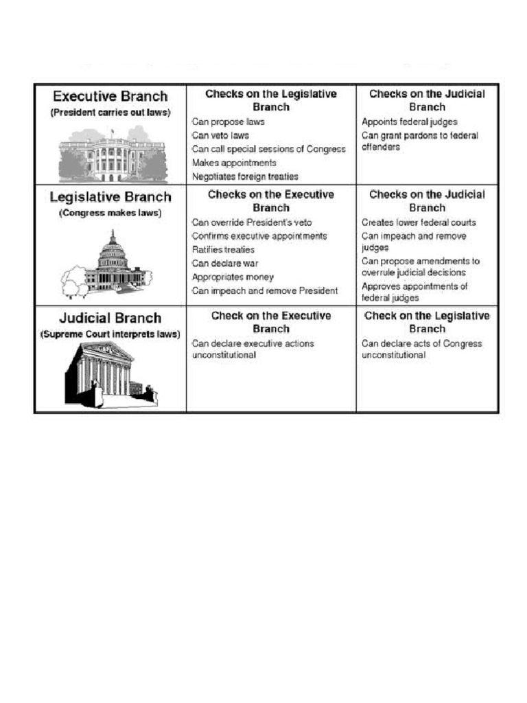 Checks and Balances Chart 1.7 Form 3 3 | PDF