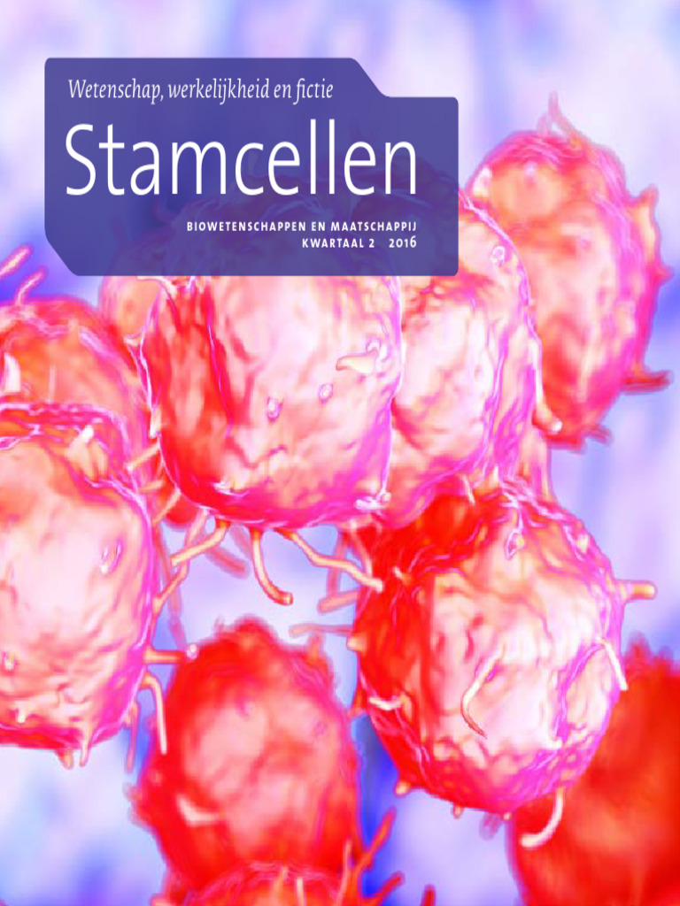 Stamcellen | PDF