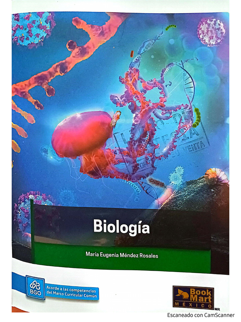 Doc-20240908-Wa0054 240910 133012 | PDF