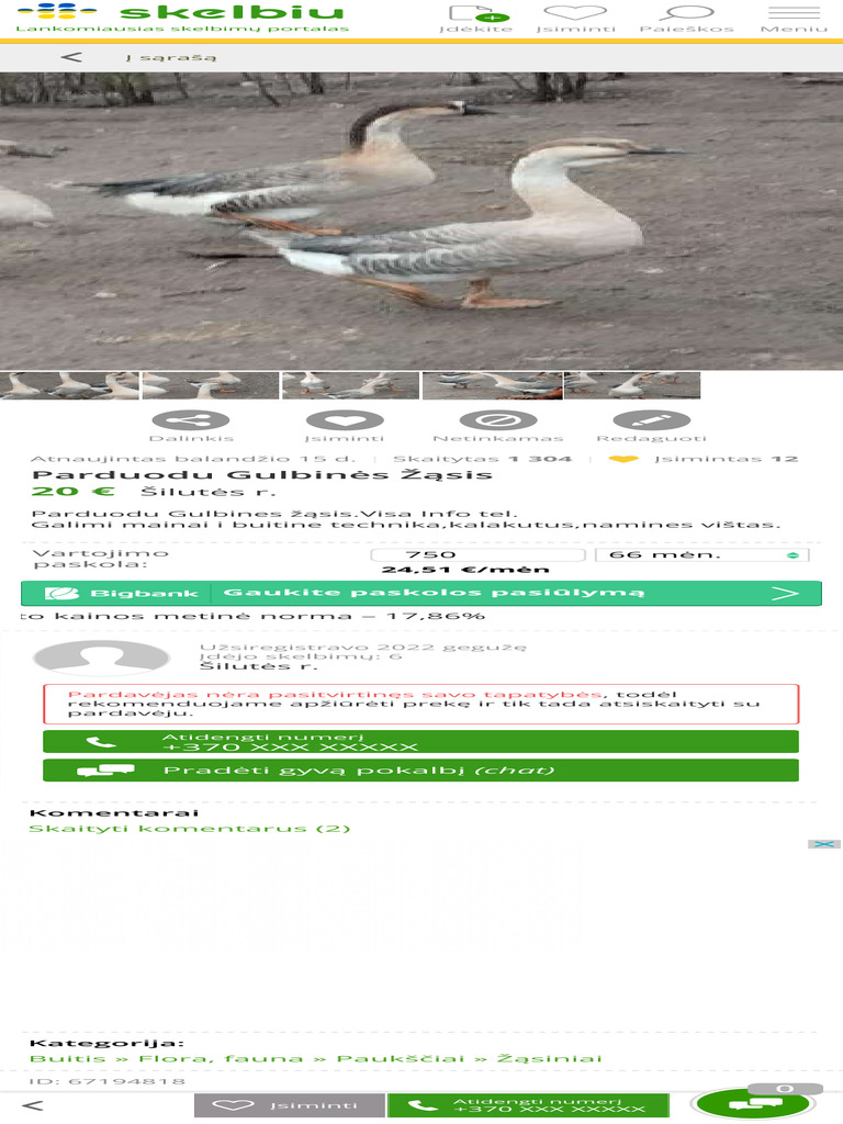 Barbora Skaidres | PDF