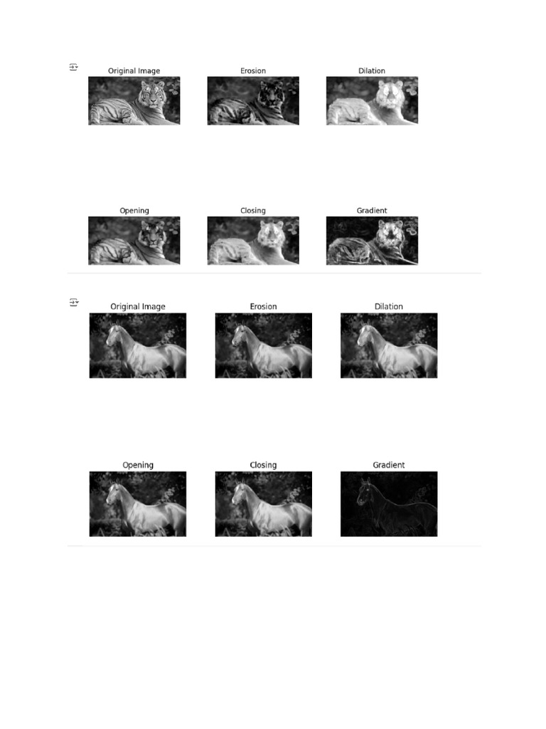 7th CV EXP OUPUT | PDF