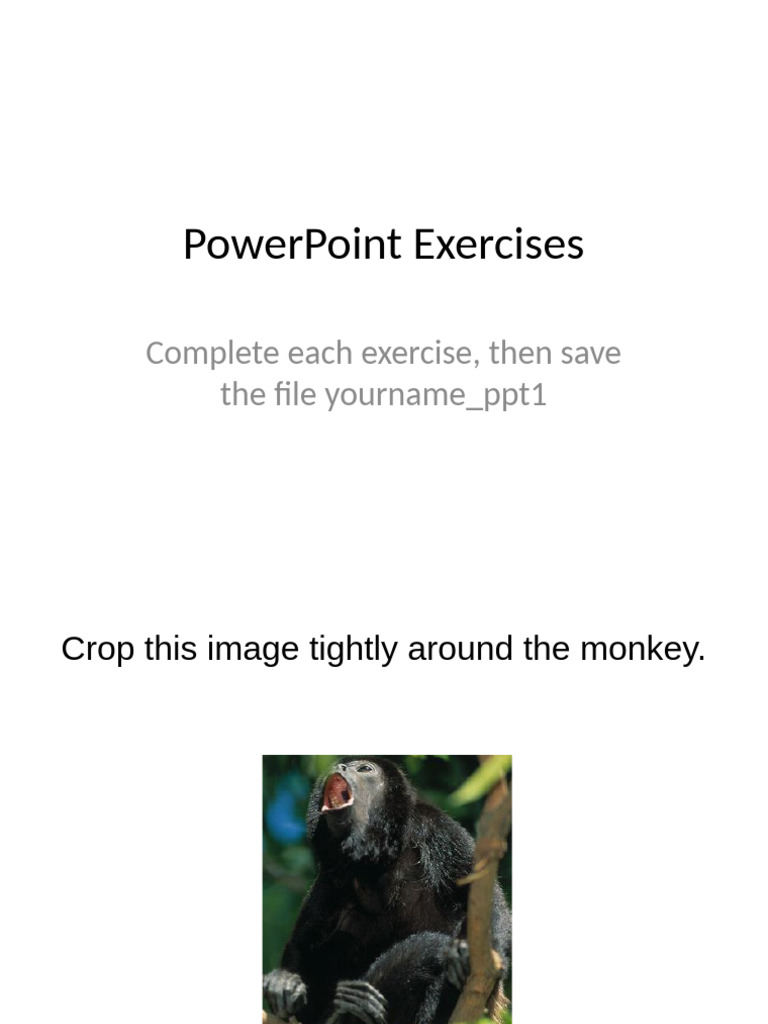 Muhammad Ali Yousuf - PPT | PDF | Games & Activities