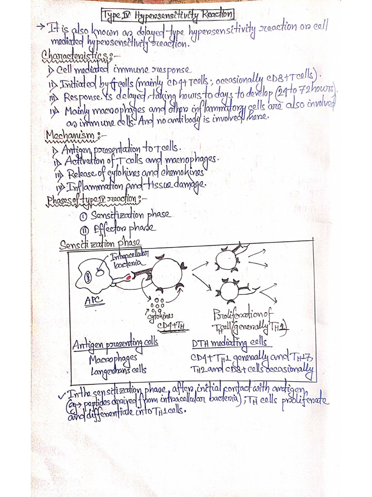 Type 4 Hyper Sensitivity Reaction | PDF