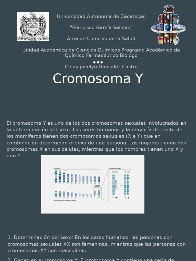 Cromosma Y | PDF | Sexo | Evolución