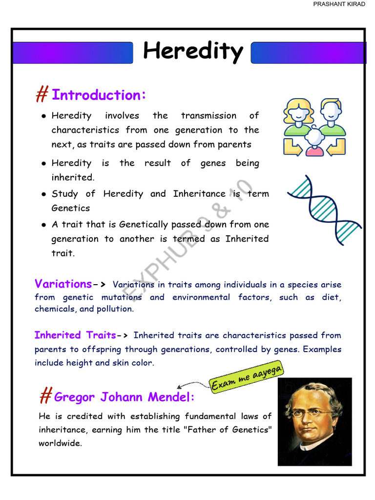 Heredity Notes ? Bio (Chapter - 4) | PDF | Dominance (Genetics) | Genotype
