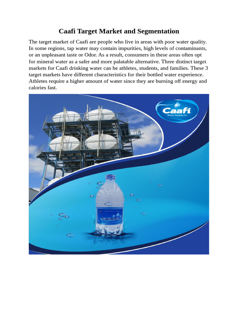 Caafi Target Market and Segmentation | PDF