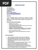 Construction Manpower Details List | PDF | Engineering