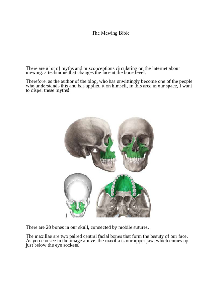 The Mewing Bible | PDF | Skull | Tongue