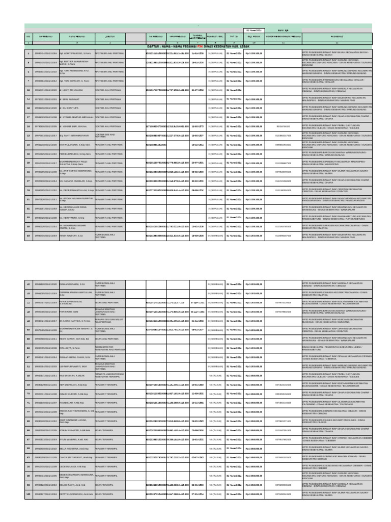 Salinan Dari DATA P3K TH.2023 | PDF