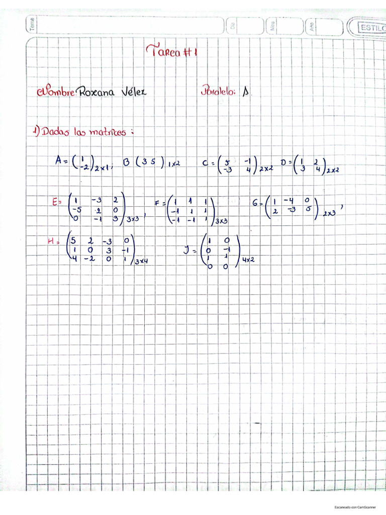 Tareas Álgebra | PDF