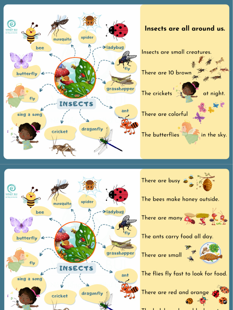 U11 Mindmap Protected Pdf