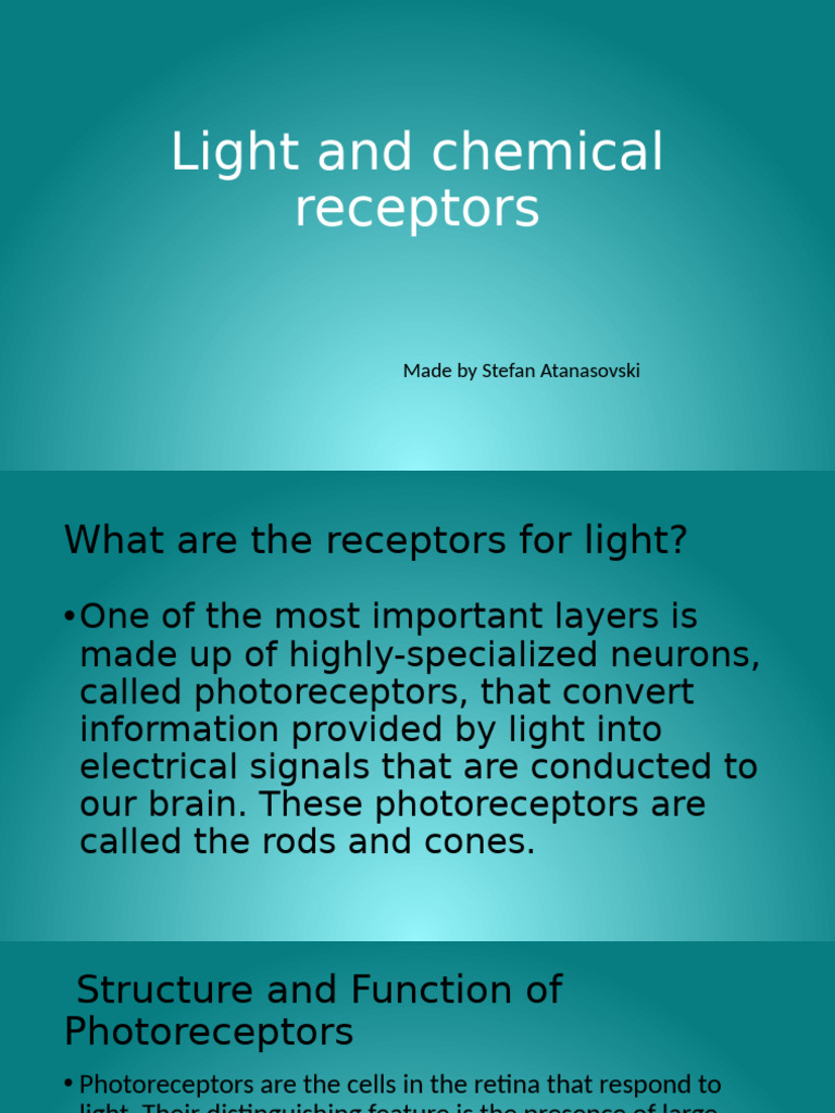 Light and Chemical Receptors | PDF | Physiology | Anatomy