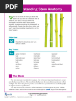 Internal Structure of Stems | PDF | Plant Stem | Tissue (Biology)