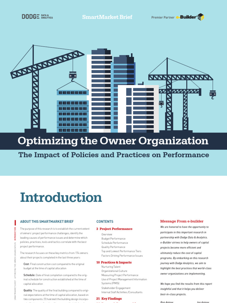 Optimizing The Owner Organization | PDF | Analytics | Business