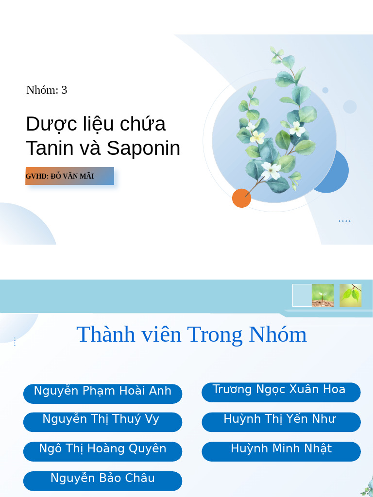 Nhóm 8 - Dh22duo04 - Dl1 | PDF