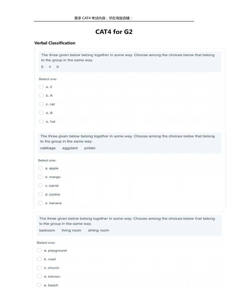 CAT4 For G2-02-Verbal Classification | PDF