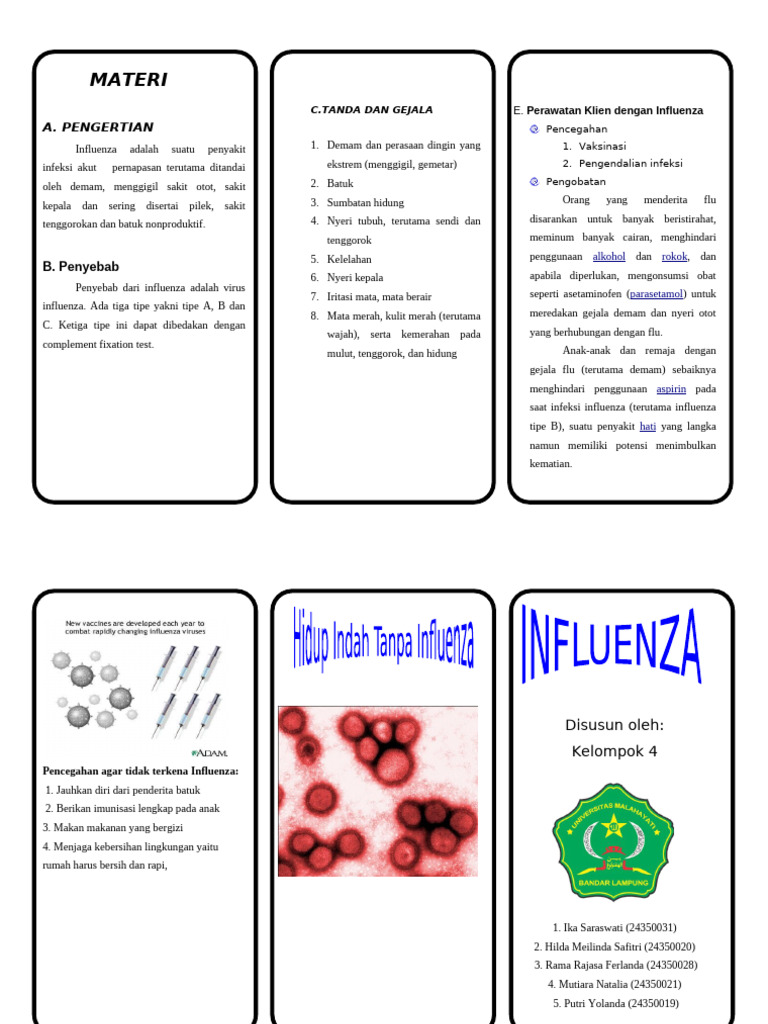 Leaflet Influenza Lab | PDF