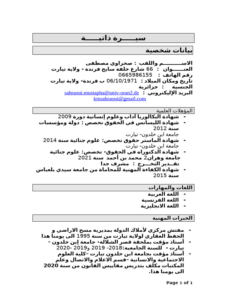 Arabic CV 003 | PDF