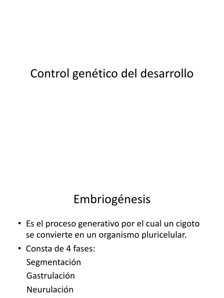 Control Genético Del Desarrollo | PDF