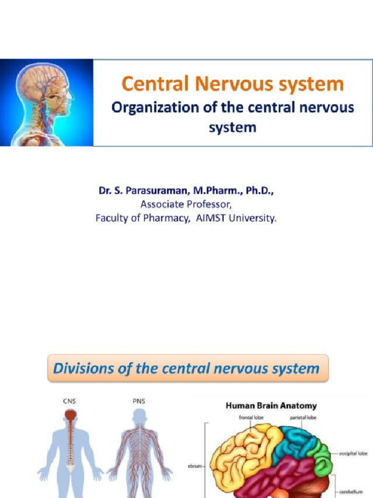 CNS | PDF