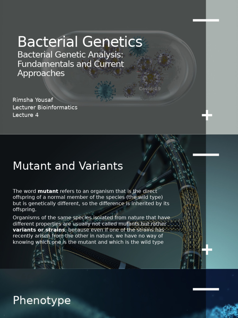 BG-Lecture 4 | PDF | Mutation | Gene