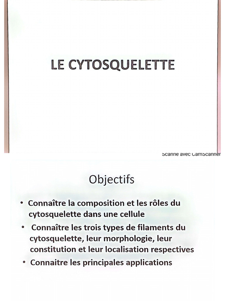 Le Cytosquelette 17 Octobre | PDF