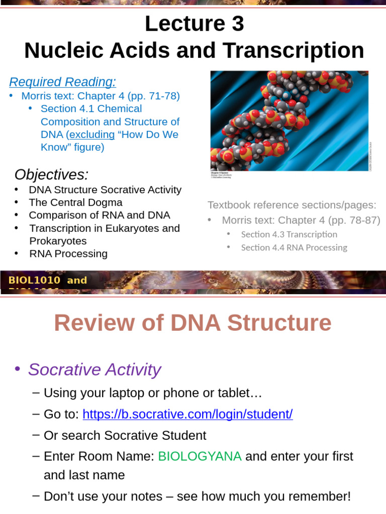 L3 Nucleic Acids and Transcription-Annotated | PDF | Rna | Messenger Rna