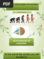 Evolution Notes Class 12 | PDF | Evolution | Natural Selection