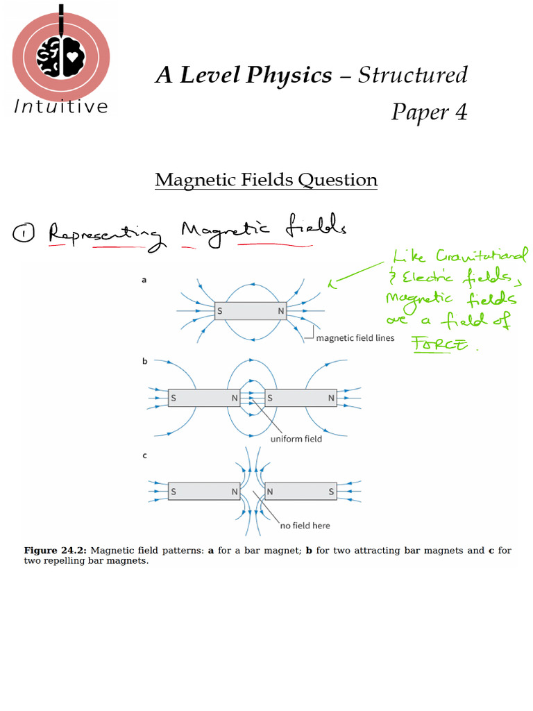 Magnetic Fields - WORKSHEET | PDF