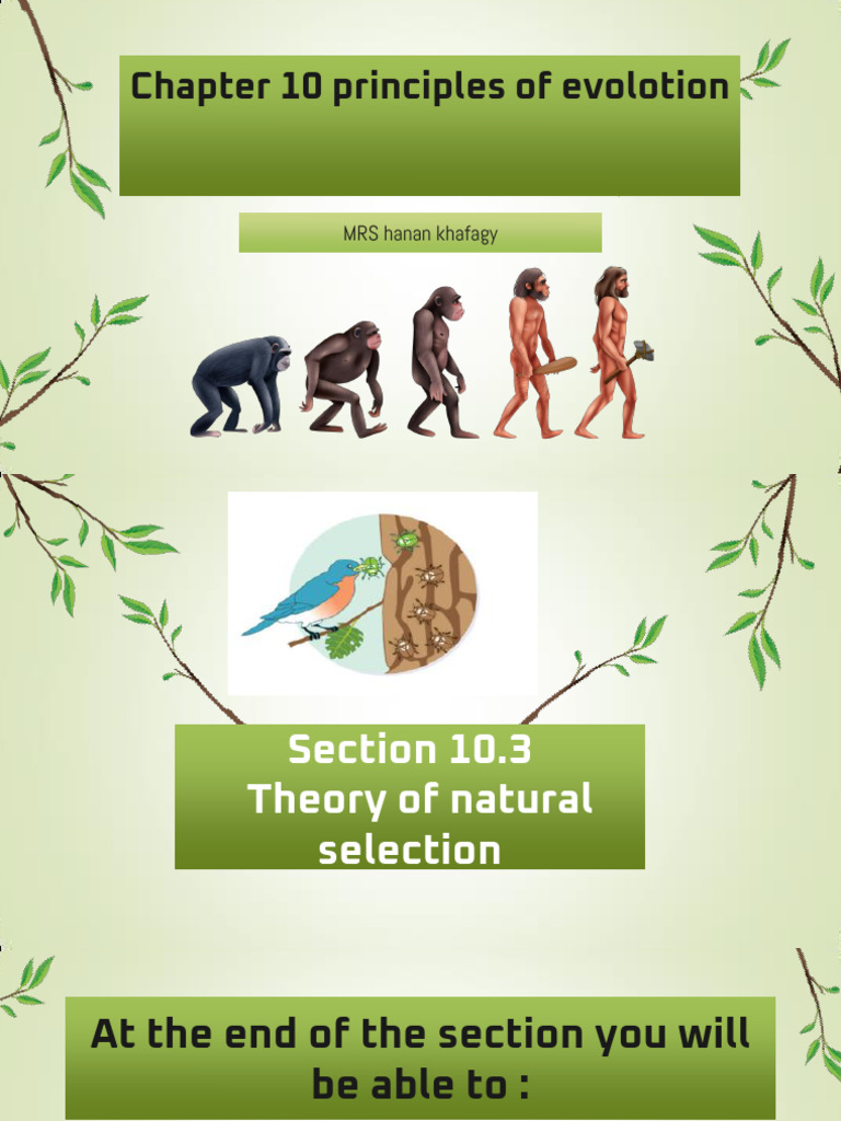 Natural Selection vs. Artificial Selection | PDF | Natural Selection ...
