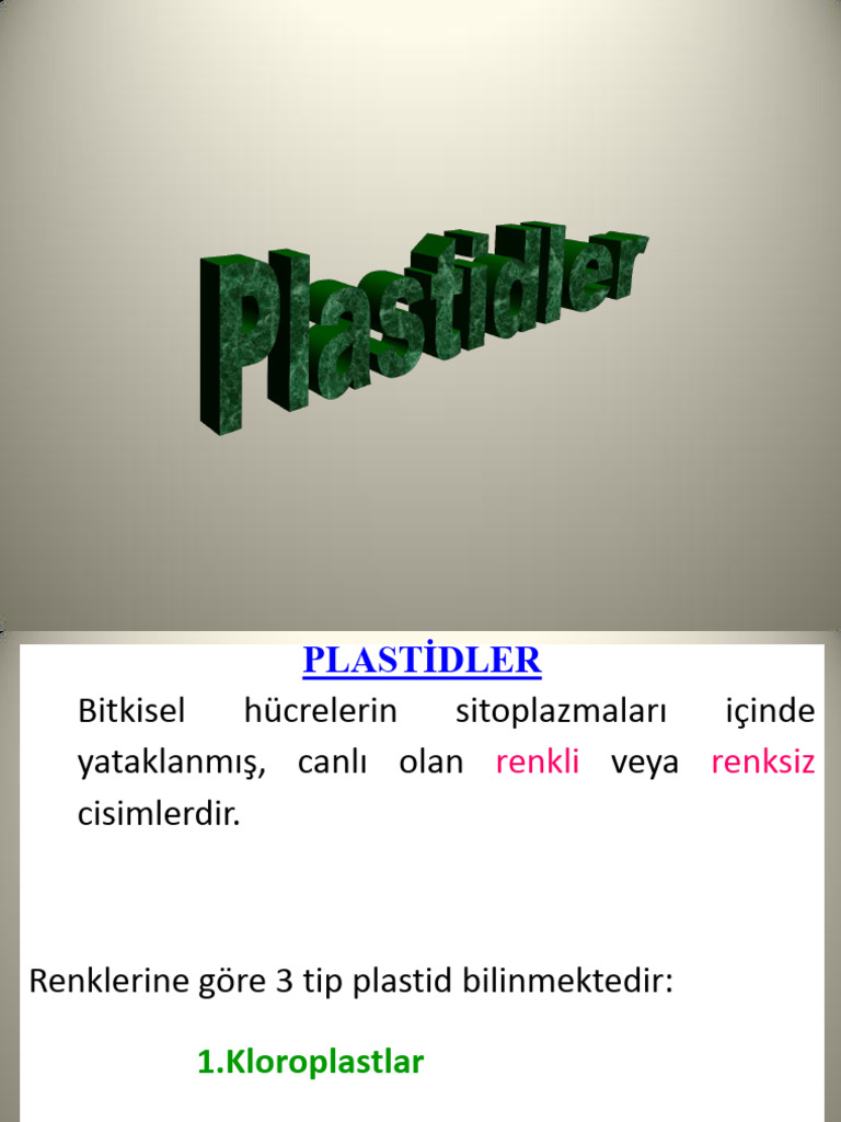 Botanik Ilk Dönem Ders 3 Slayt | PDF