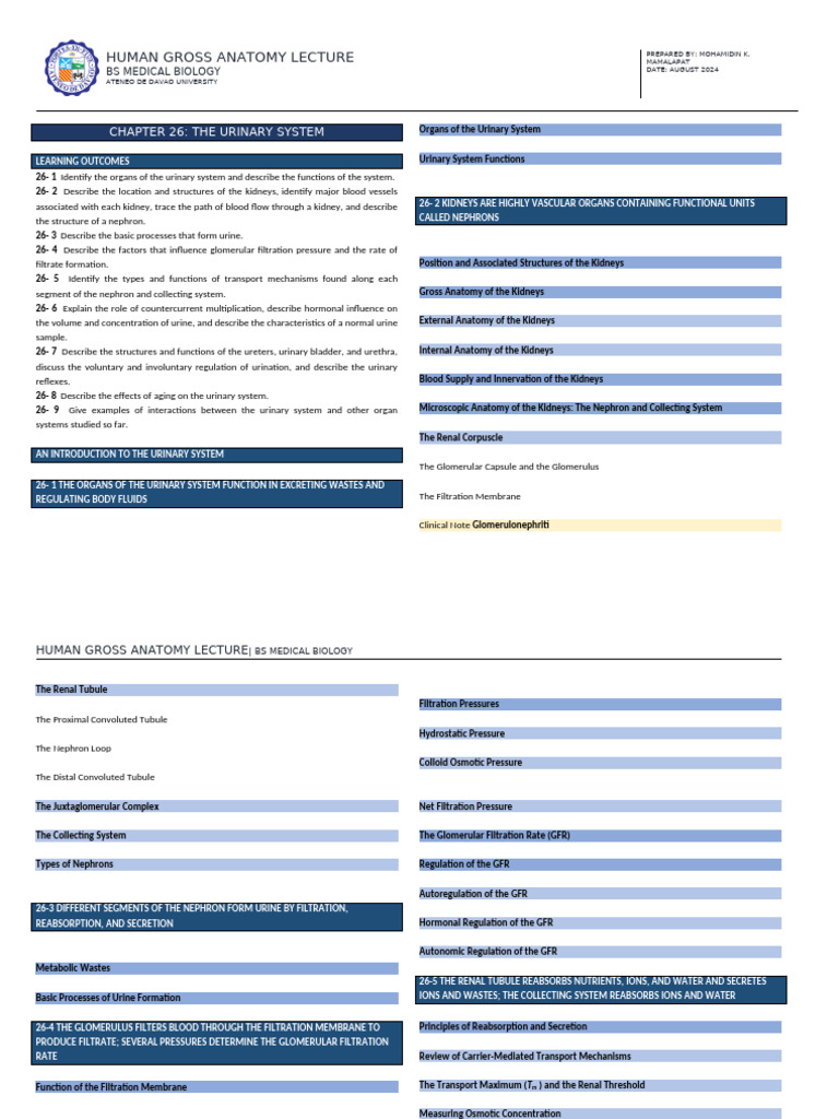 Urinary System Anatomy Guide | PDF | Urinary System | Kidney